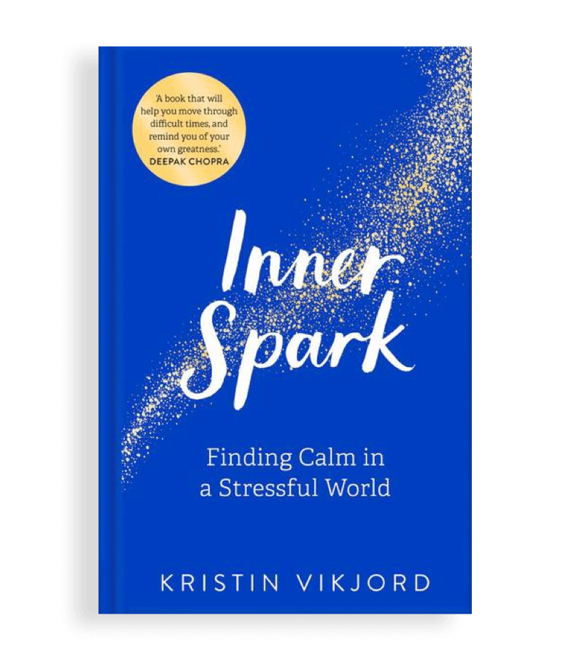 Inner Spark | GRINS - Pelatihan Lingkungan Hidup